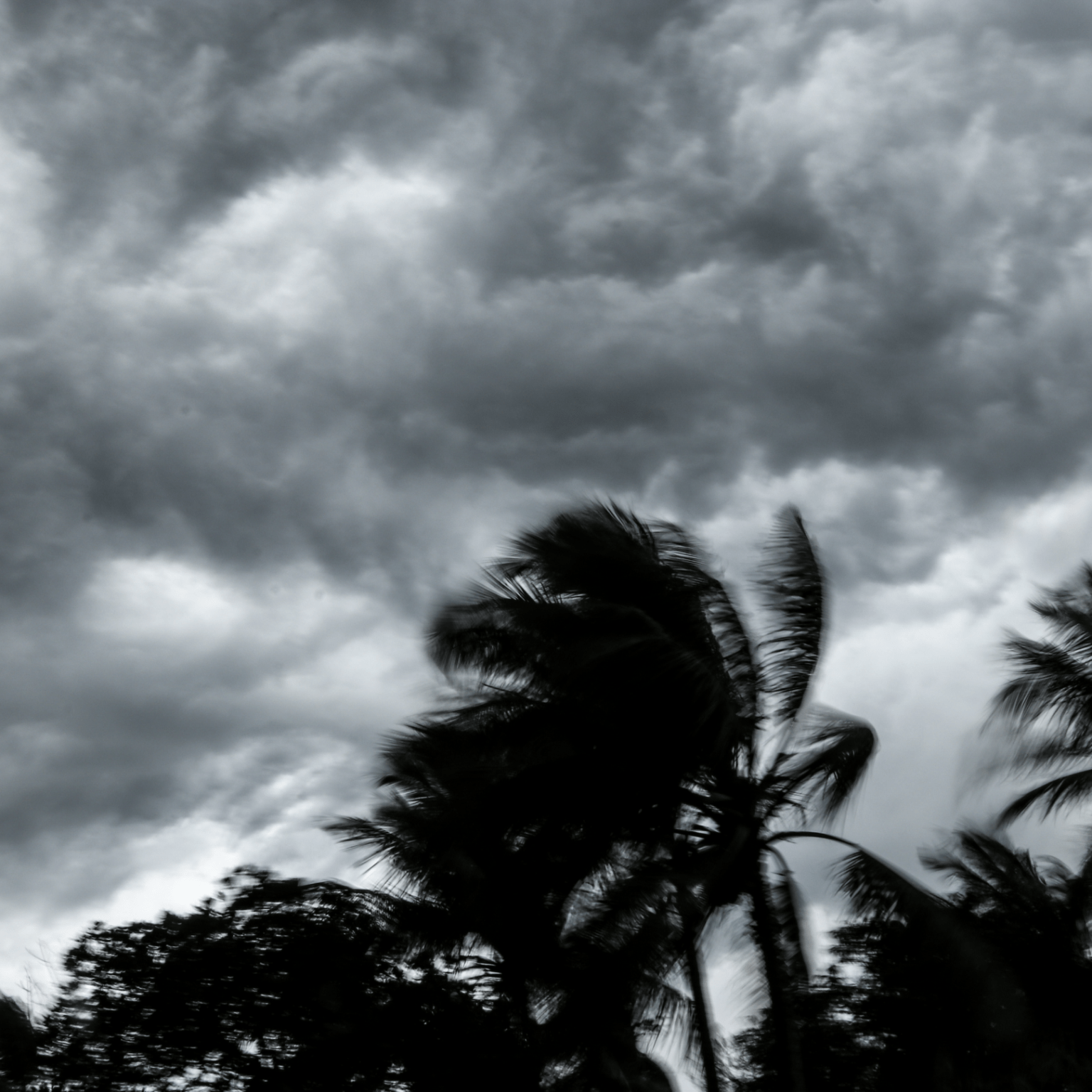 How to Prepare for a Cyclone: A Practical Guide to Staying Safe – CRT